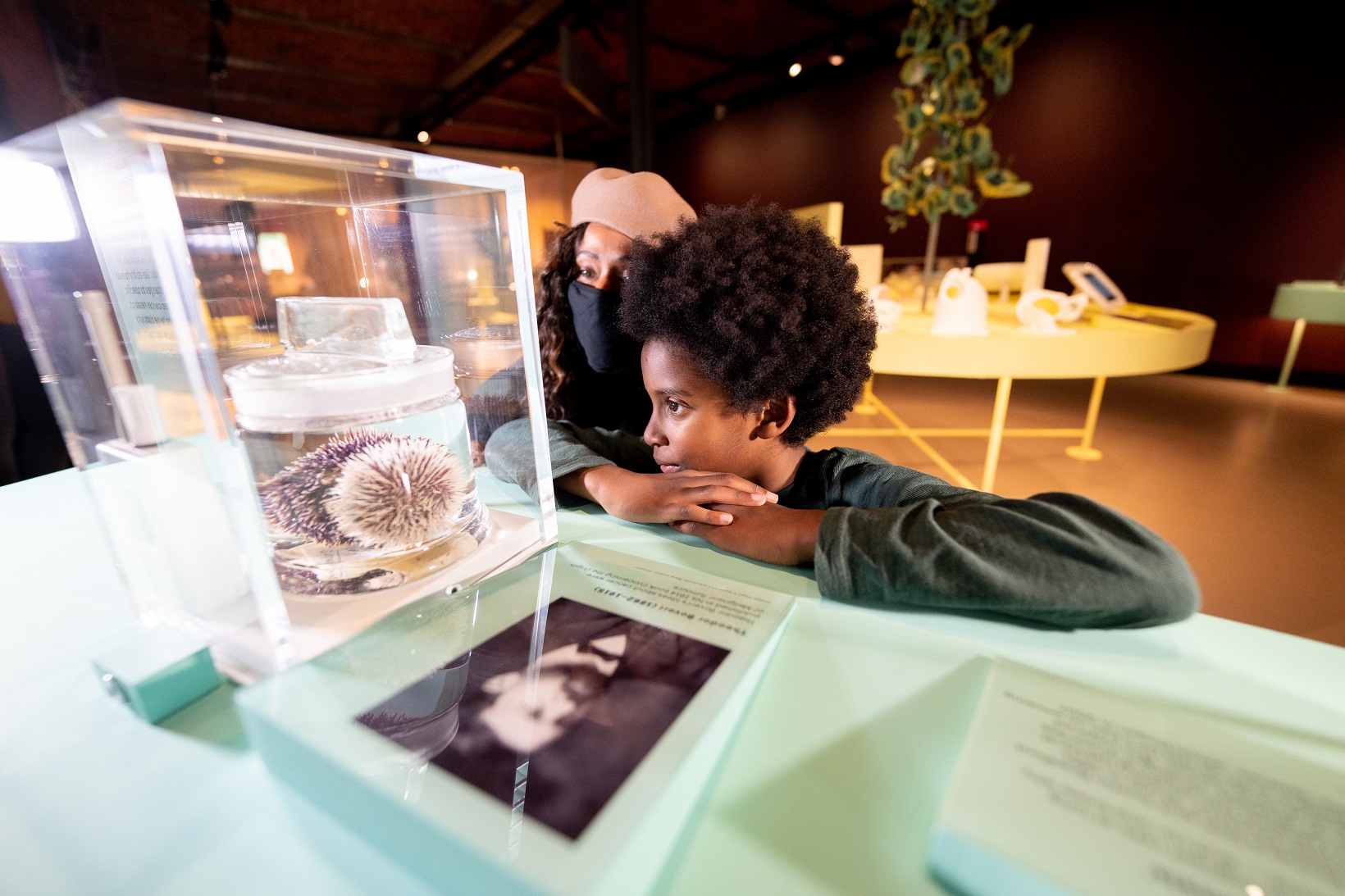 Your last chance to see the world’s first cancer revolution exhibition ...