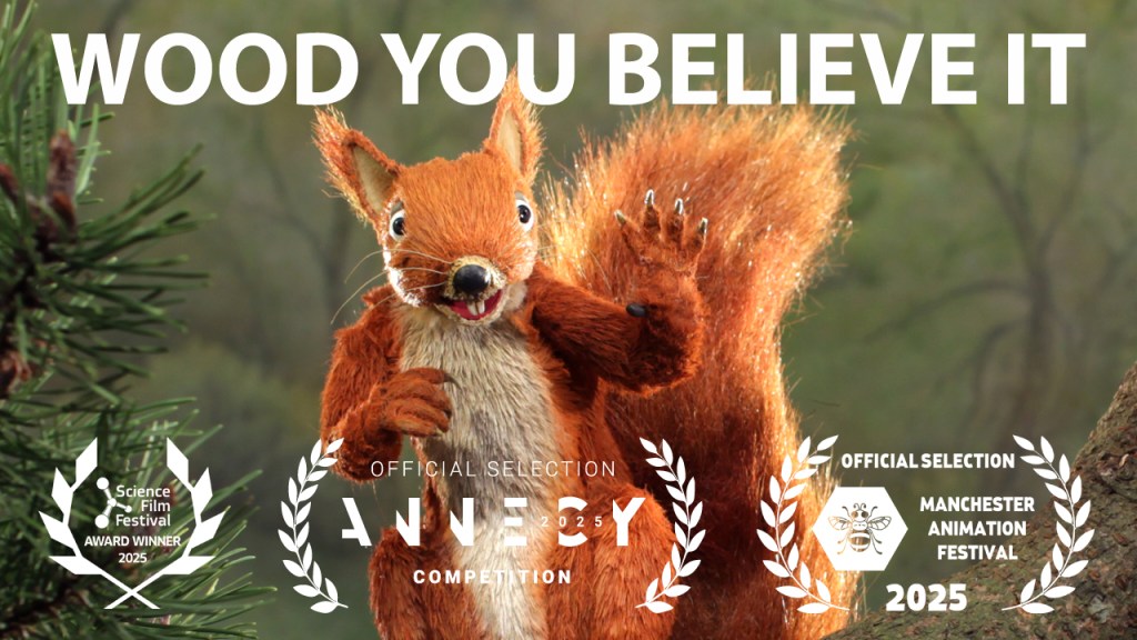 Powerful animated Squirrel film wins International award